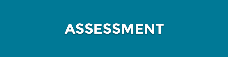 ASSESSMENT | Qué es, SERVICIOS y CONTRATAR