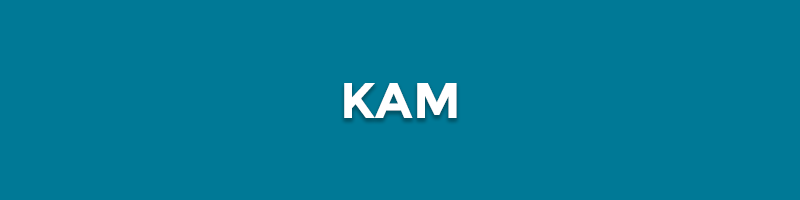 KAM | Qué es | SIGNIFICADO + FUNCIONES [2020]